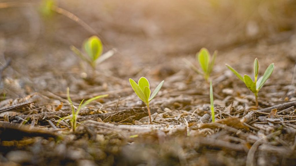 Blog | Teaching + Learning Lab