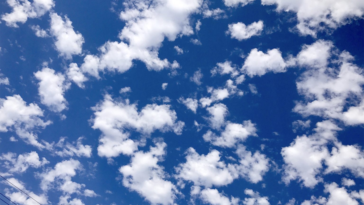 Blog | Teaching + Learning Lab