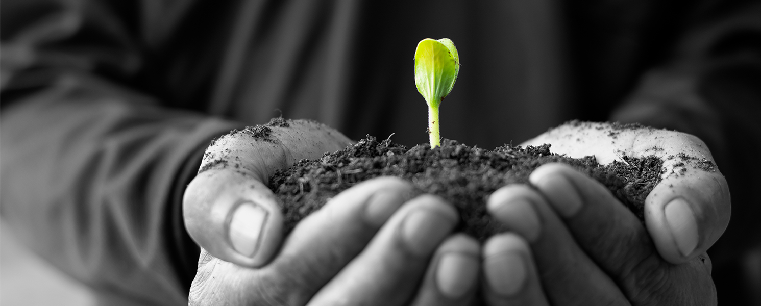 Teaching + Learning Lab